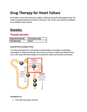 Spironolactone ALT ATI - ACTIVE LEARNING TEMPLATES Medication STUDENT ...