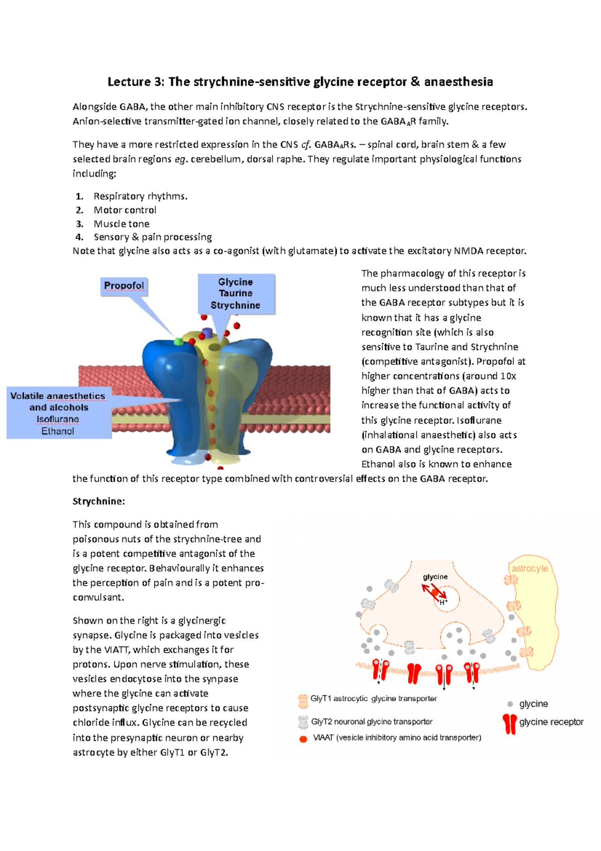 Lecture 3 Glycine Anaesthesia - Lecture 3: The strychnine-sensitive ...