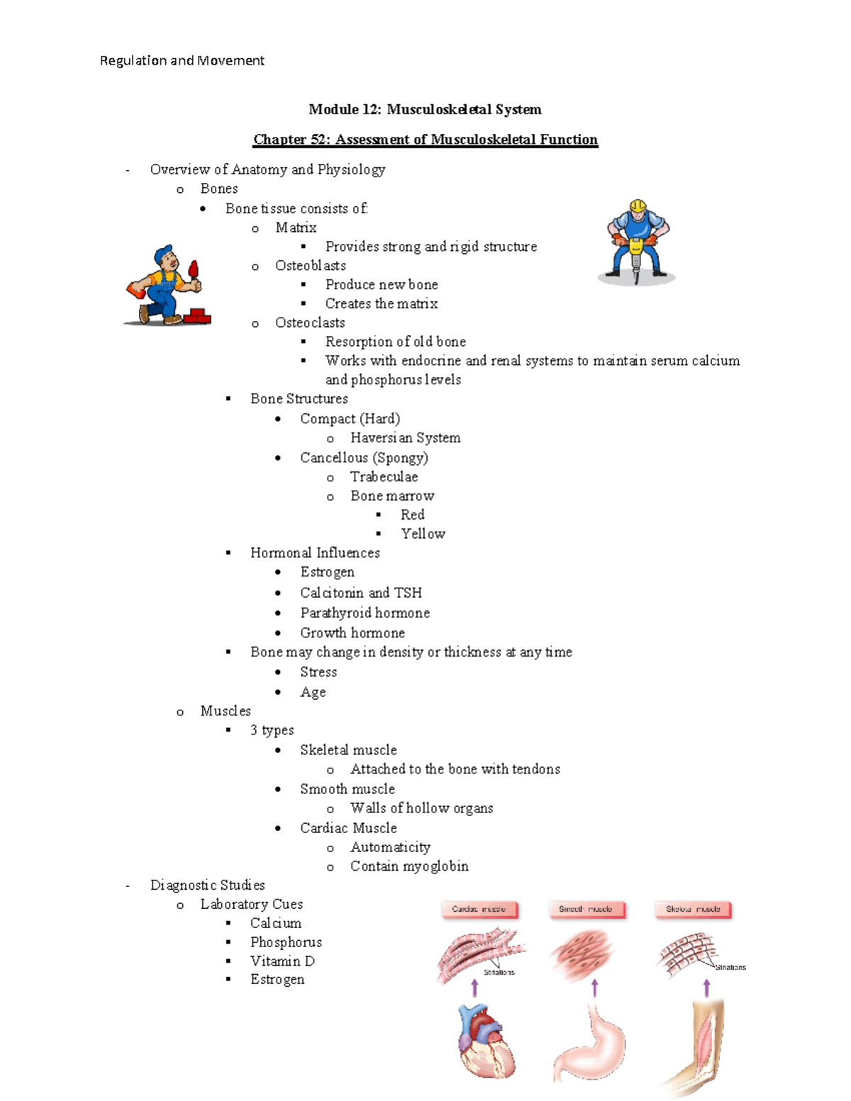 Module 13 Review Sheet - Regulation and Movement Module 12 ...