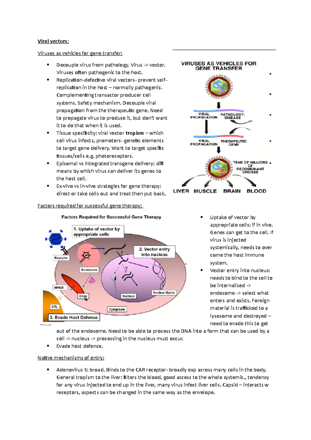 Viral vectors - Viral vectors: Viruses as vehicles for gene transfer ...