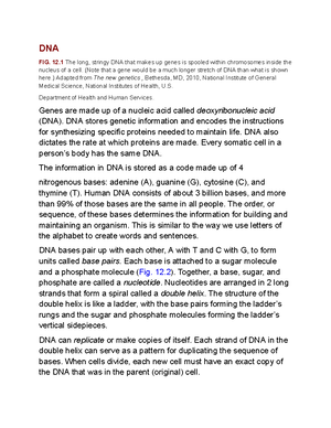 Comprehensive Assessment vs. Focused Assessment - Comprehensive ...