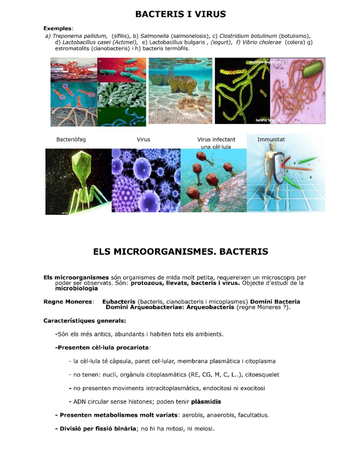 ELS Procariotes I ELS Virus. Microbis I Salut - Biologia II - Studocu