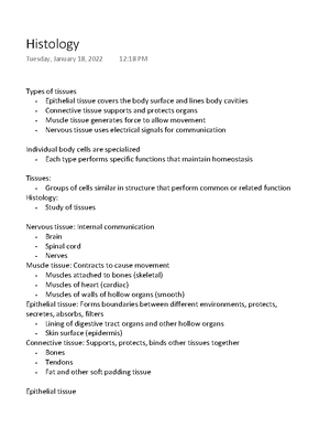 Nervous system - Studocu