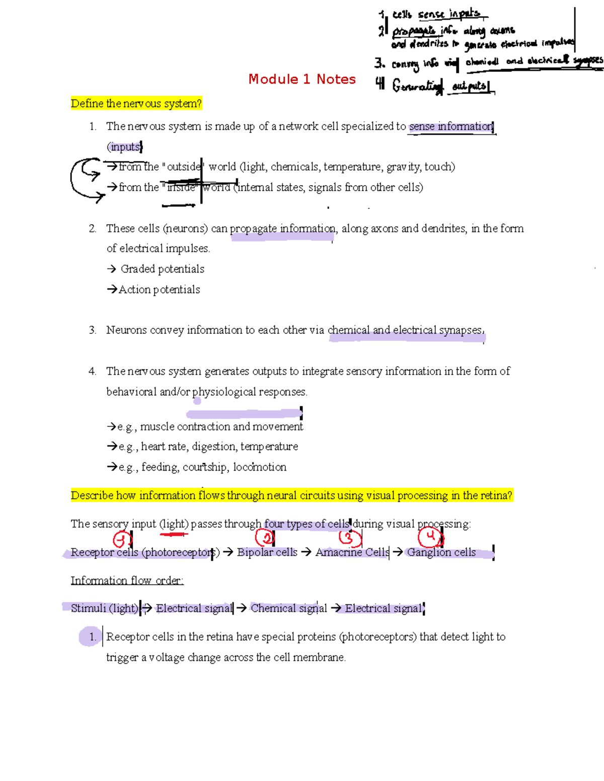 BIO304 Module 1 Notes - Module 1 Notes Define the nervous system? 1 ...