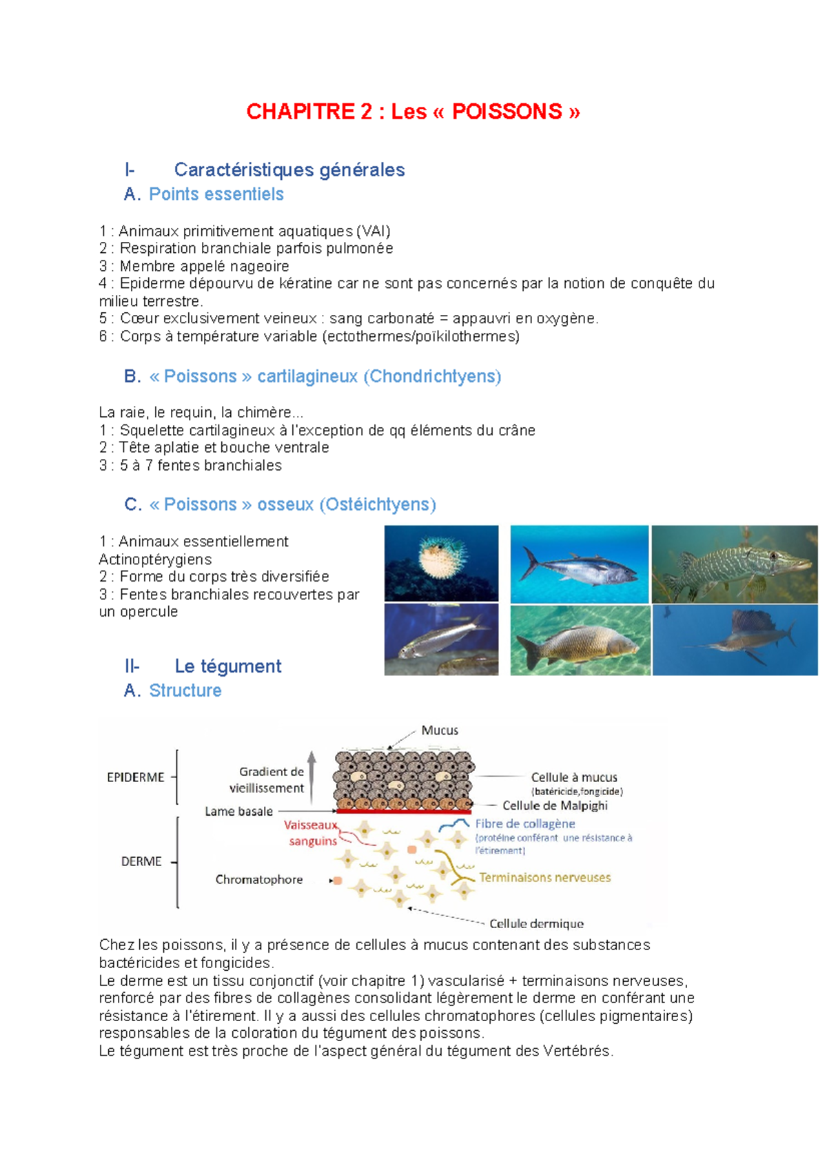 Chapitre 2 - Notes de cours 2 - CHAPITRE 2 : Les « POISSONS » I ...