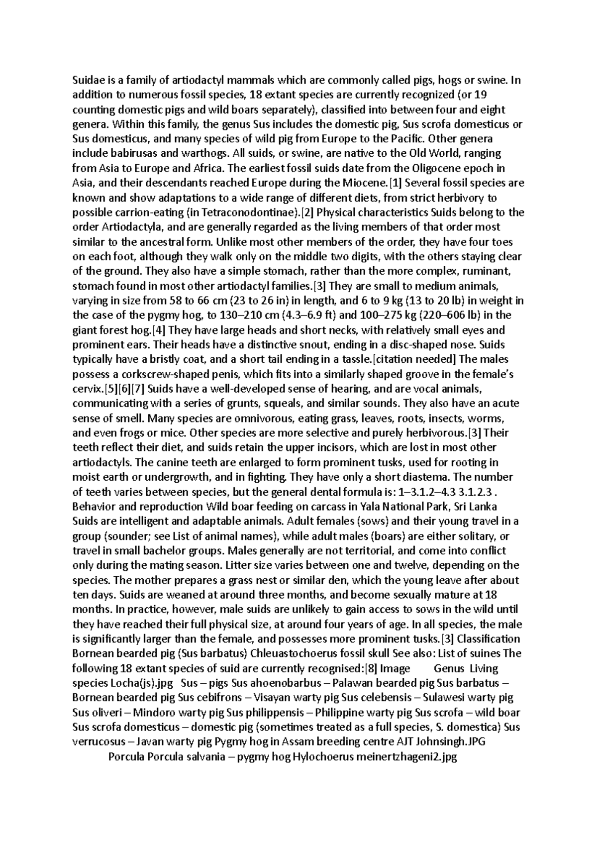 Suidae - Summary - Suidae is a family of artiodactyl mammals which are ...
