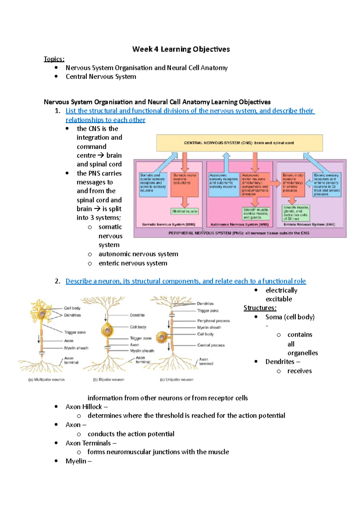 Week 4 Learning Objectives - Week 4 Learning Objectives Topics: Nervous ...