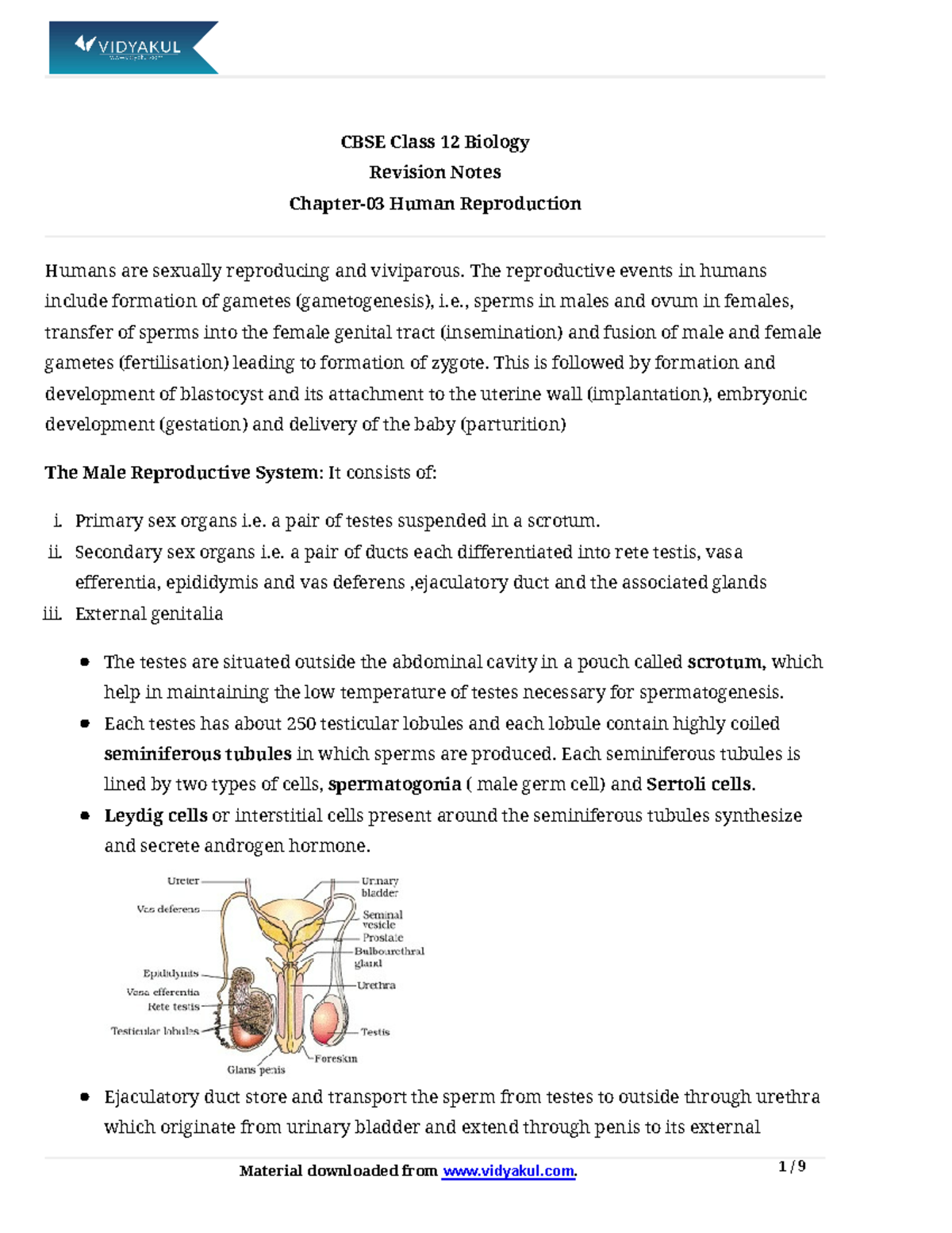 Human reproduction - CBSE Class 12 Biology Revision Notes Chapter-03 ...