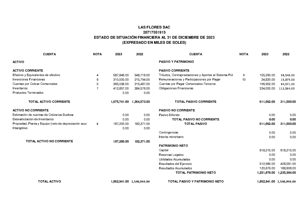 EEFF Y Notas - Estados Financieros - ACTIVO PASIVO Y PATRIMONIO ...