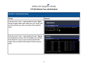 CYB 310 Module Three Lab Worksheet Submitted - CYB 310 Module Three Lab ...