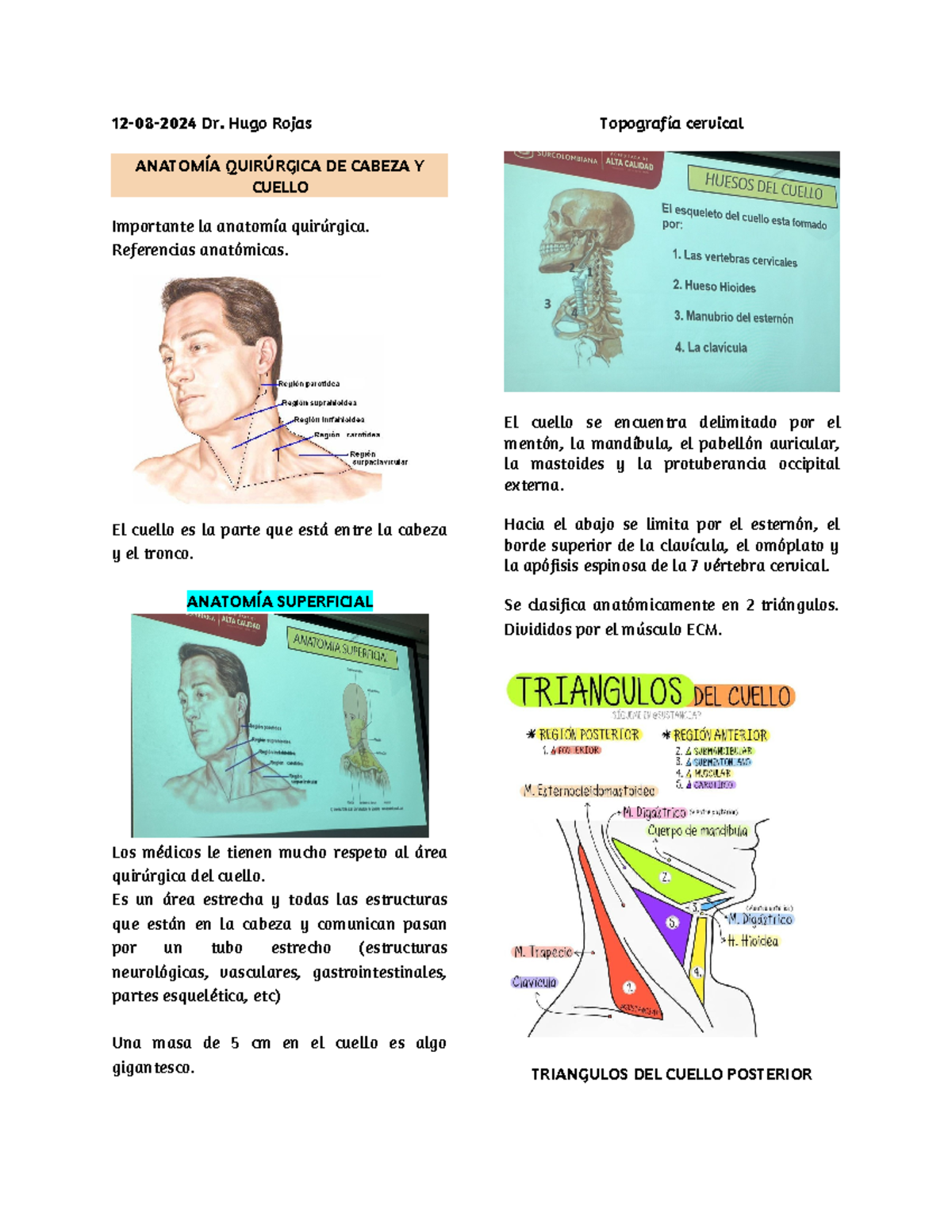1. AnatomíA Cabeza Y Cuello - 12-08-2024 Dr. Hugo Rojas ANATOMÍA QUIRÚRGICA DE CABEZA Y CUELLO ...
