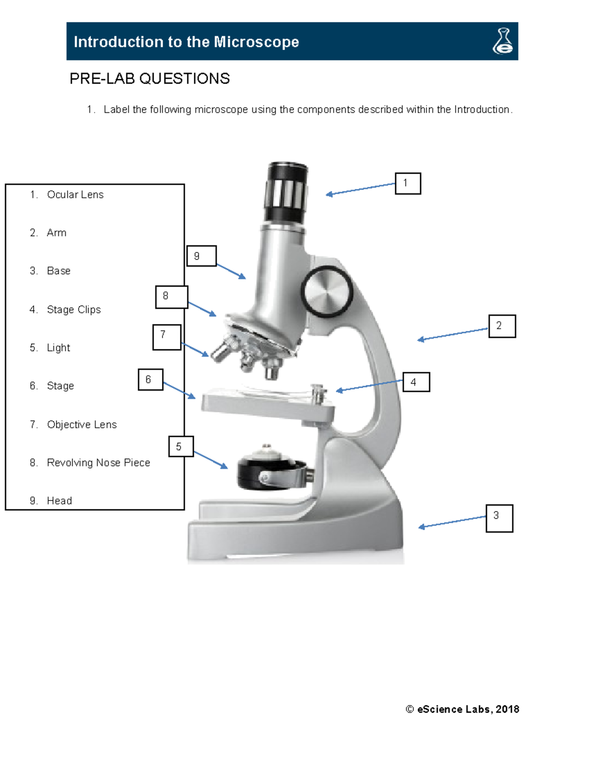 LAB 4 - LAB 4 notes - Introduction to the Microscope PRE-LAB QUESTIONS ...