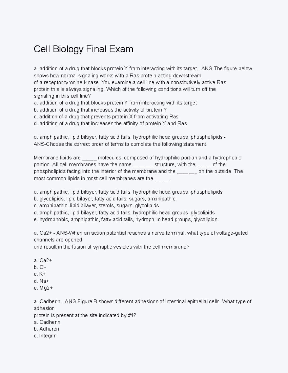 Cell Biology Final Exam - addition of a drug that blocks protein Y from ...