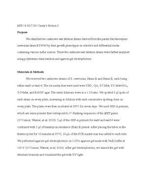 Poster Bio lab - Abstract Throughout a series of experiments, using S ...