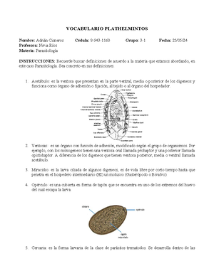 Vocabulario Protozoa 1 - VOCABULARIO PROTOZOA Nombre: Adrián Cisneros ...