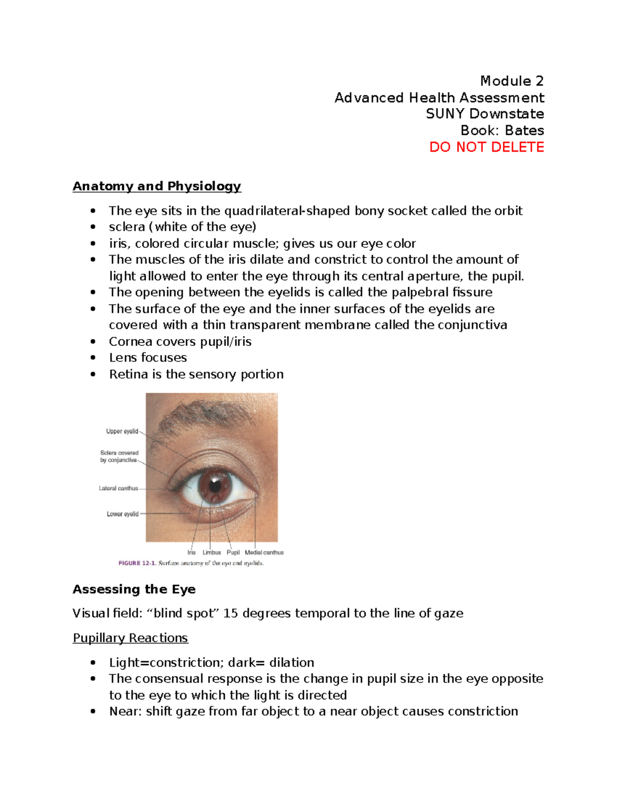 Chapter 12 Eyes - TEXTBOOK STUDY NOTES - Module 2 Advanced Health ...
