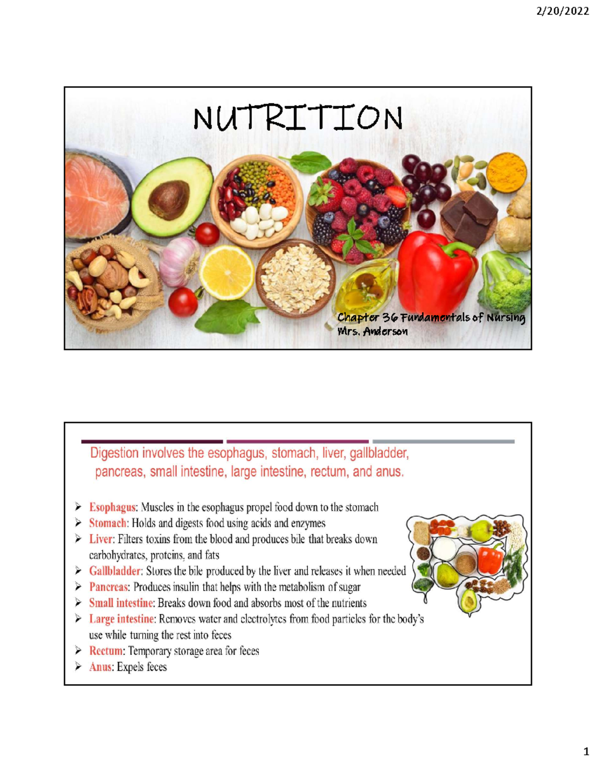 Week 6 - Nutrition - lecture material - Chapter 36 Fundamentals of ...
