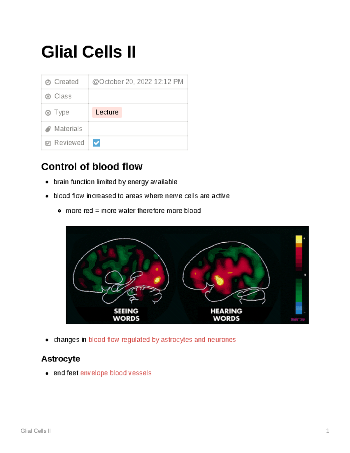 Glial Cells II - Notes - Glial Cells II Created Class Type Lecture ...