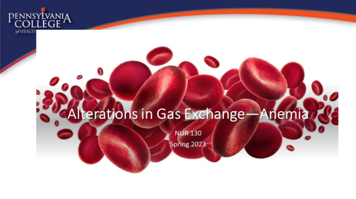 Gas Exchange Anemia Spring 2023 ppt - Hypoproliferative Anemia Results ...