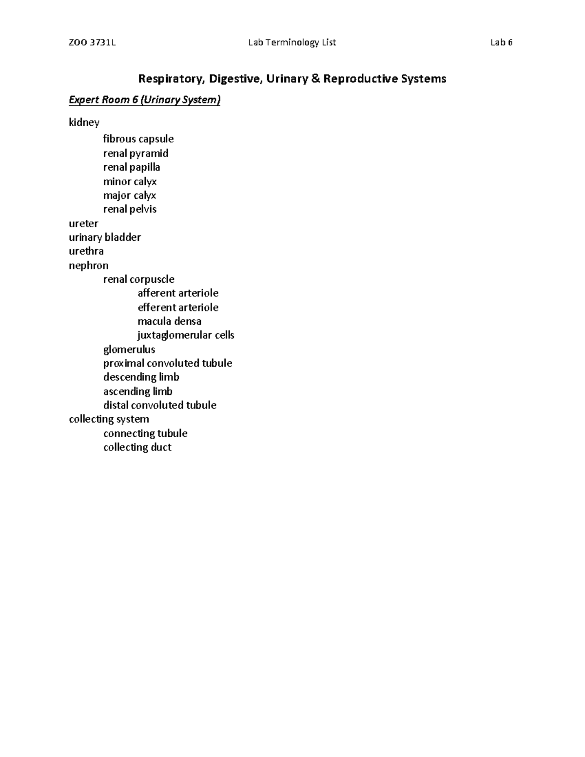 Lab 6 Expert Room 6 - lab 6 with all designated parts labeled - ZOO ...