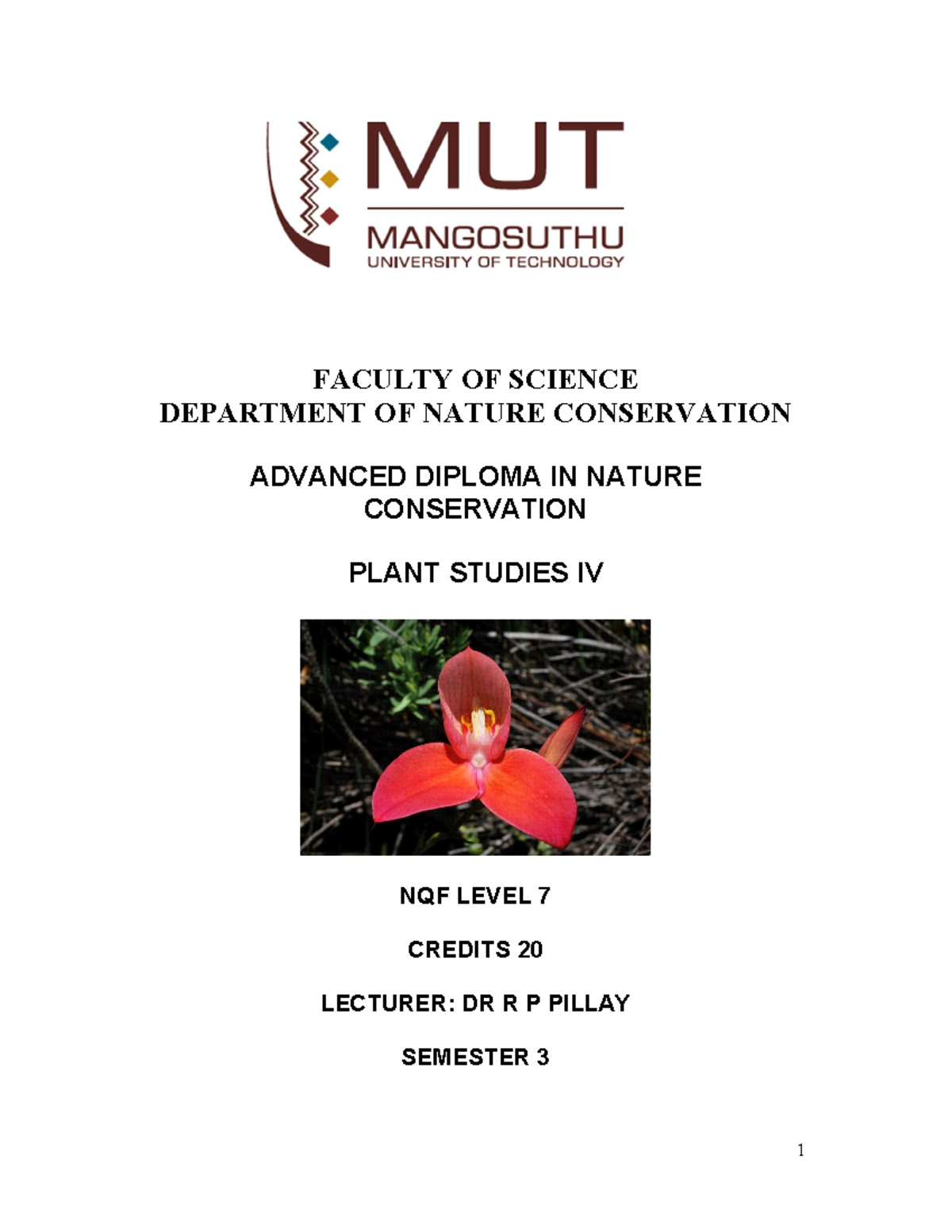 A Module Guidelines Plant Studies 4 - FACULTY OF SCIENCE DEPARTMENT OF ...