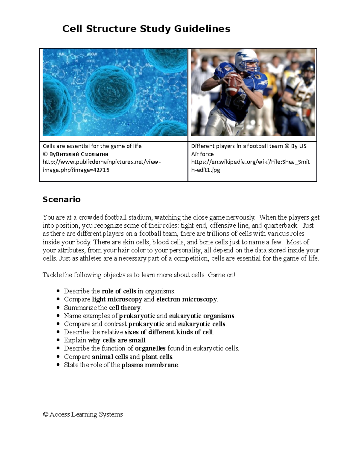 1408 Study Guidelines Cell Structure-3 - Cell Structure Study ...