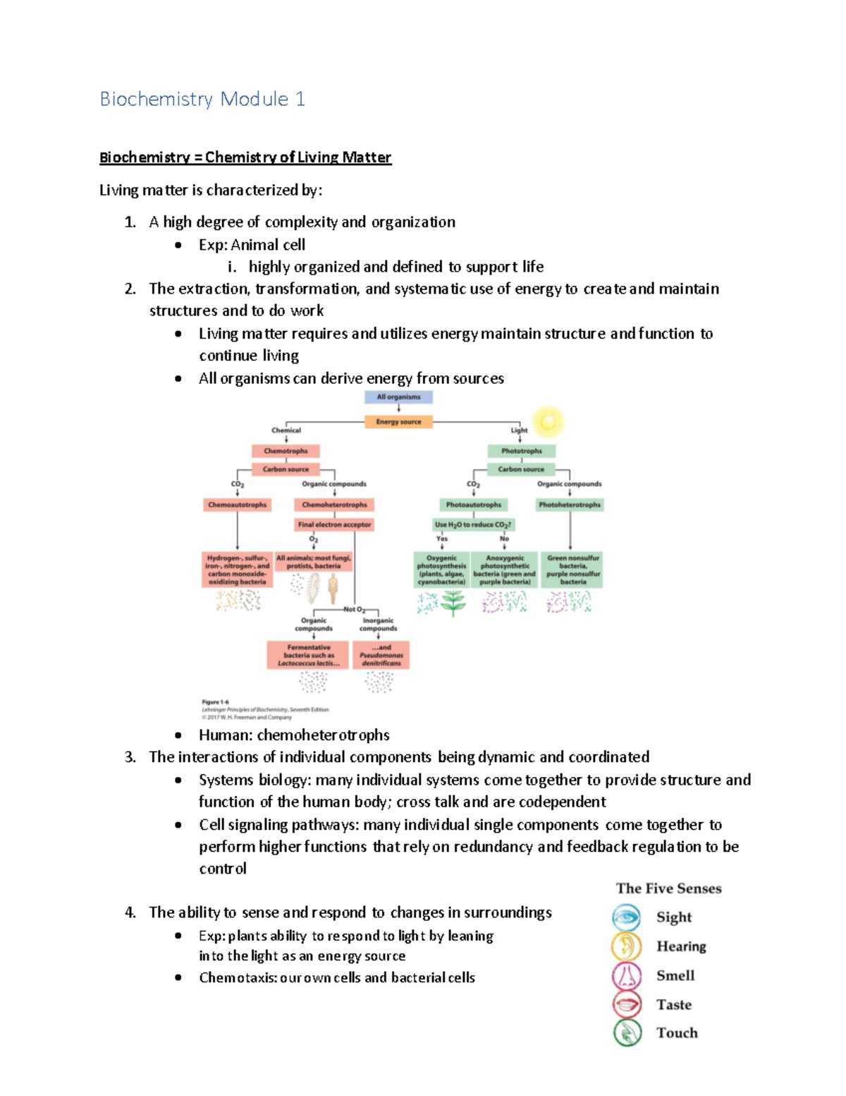 Biochemistry Module 1 - A high degree of complexity and organization ...