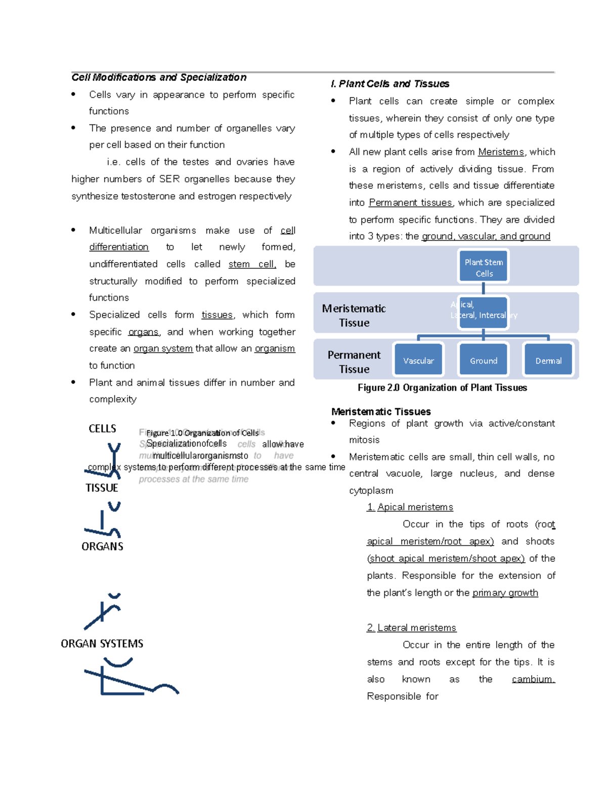 Cell Modifications and Specialization - Figure 1 Organization of Cells ...