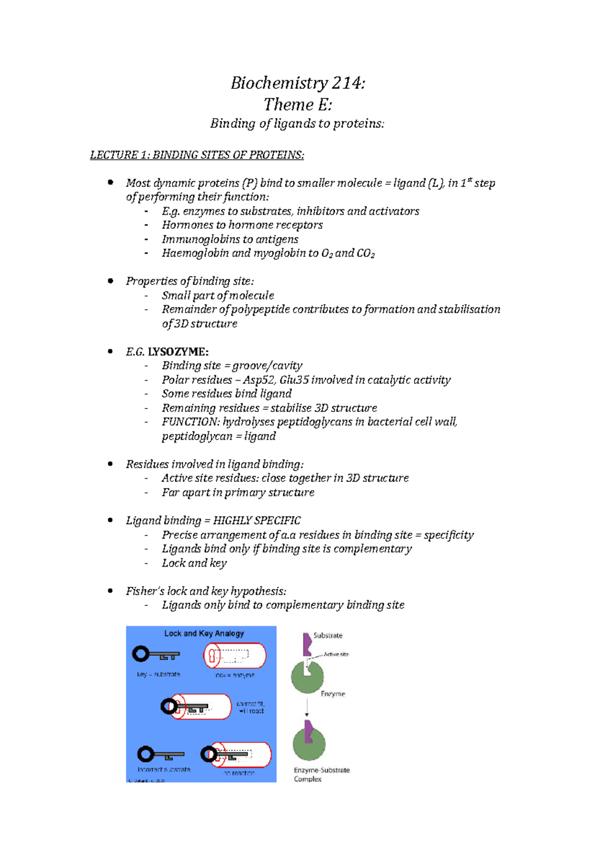 Biochemistry 214 Theme E - Biochemistry 214: Theme E: Binding of ...