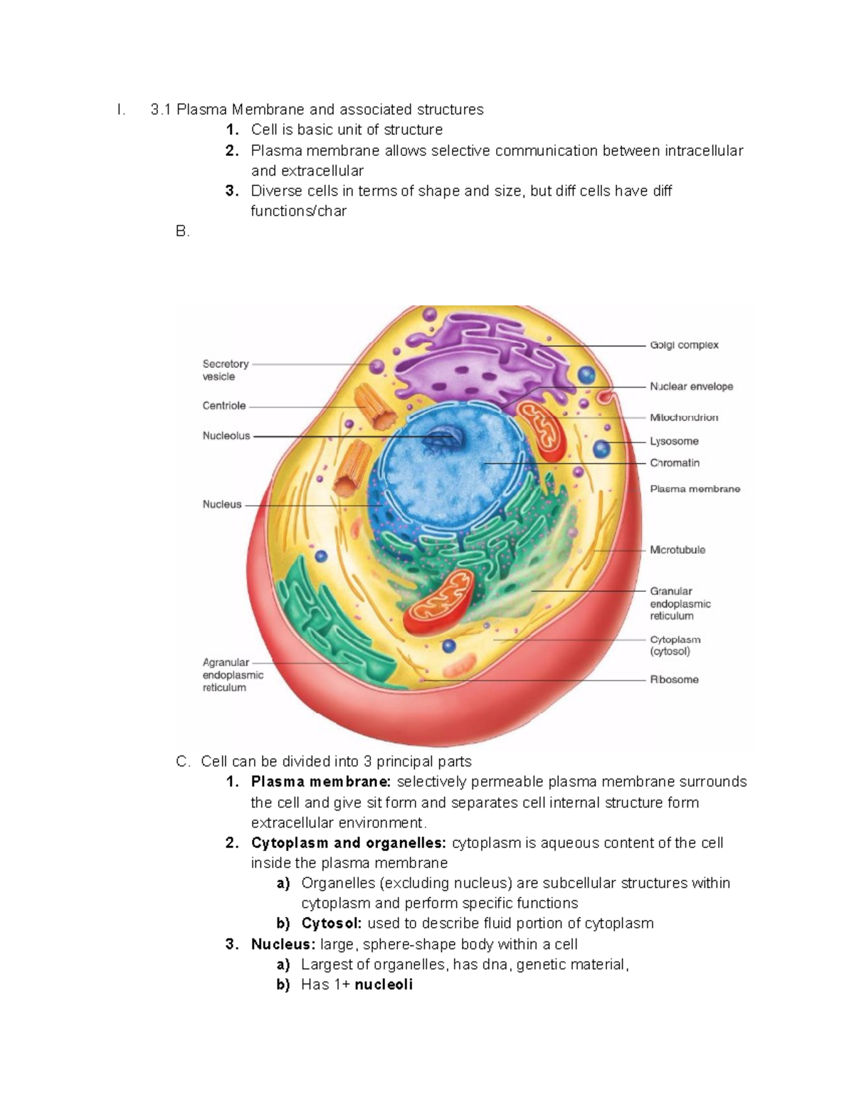 Ch 3 Cell Structure and Genetic Control - I. 3 Plasma Membrane and ...