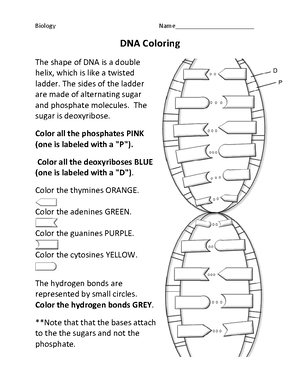 Cladogram worksheet - Name ...