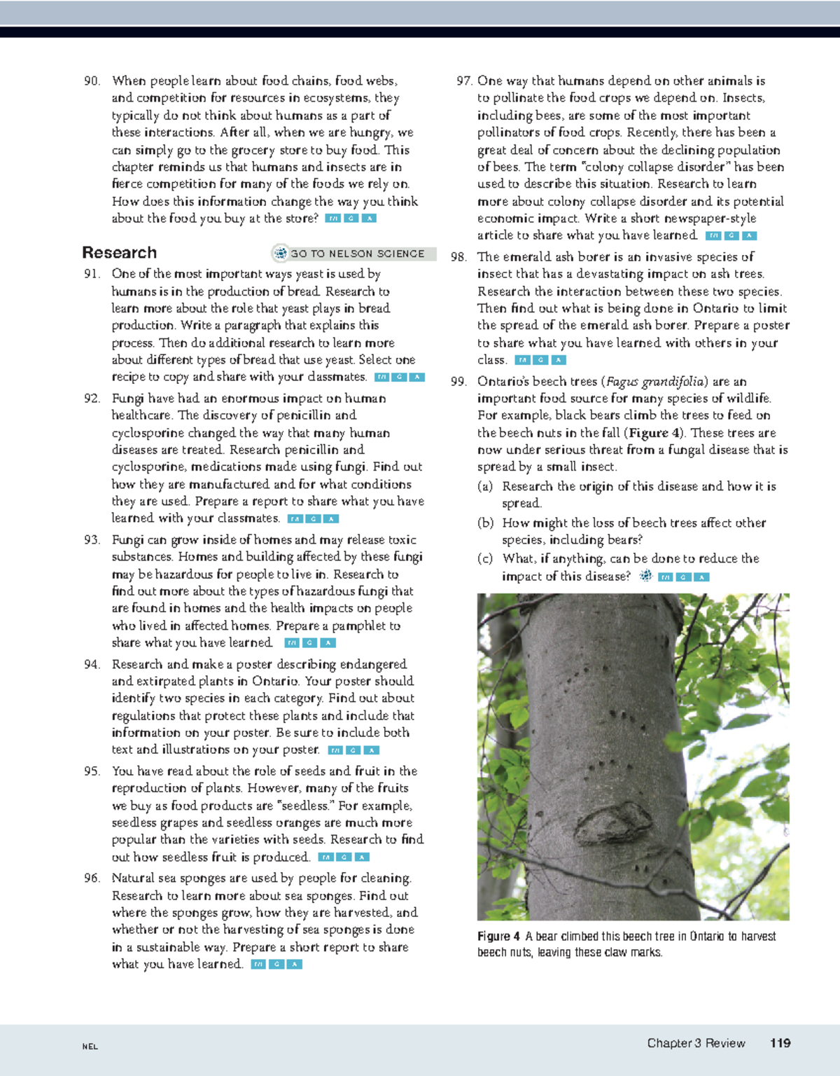 NB11U - Ch3 - The Fungi, Plants and Animals (pgs78-119) 0042-0042 ...