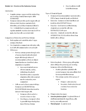 Blood Vessels - Lecture notes based on 4-hour zoom vid - ANATOMY OF ...