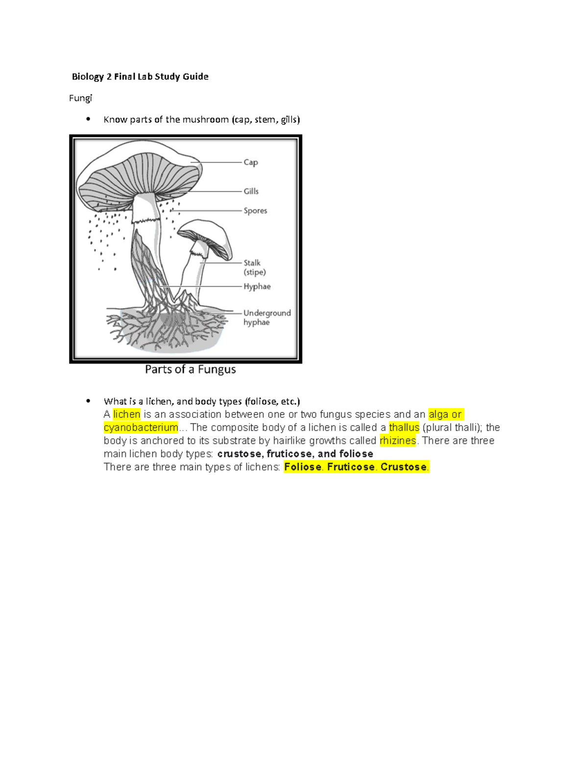 Final Lab Practical Study Guide - Biology 2 Final Lab Study Guide Fungi ...