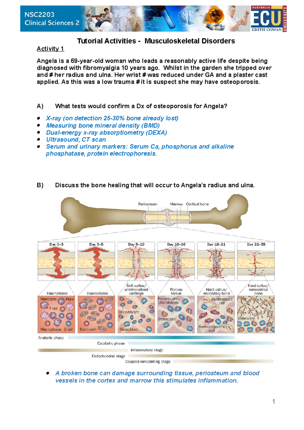 Week 6 Musculoskeletal - Tutorial Activities - Musculoskeletal ...