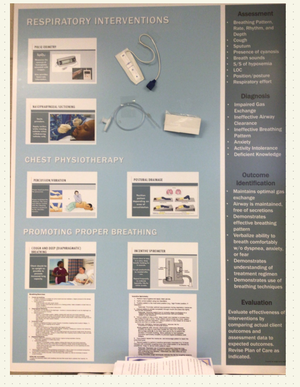 Patho 2 Exam 4 Blueprint Super Tool darkgreen - SCIE 230 - Studocu
