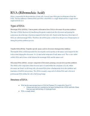 DNA Notes - structure and function - DNA (Deoxyribonucleic Acid ...