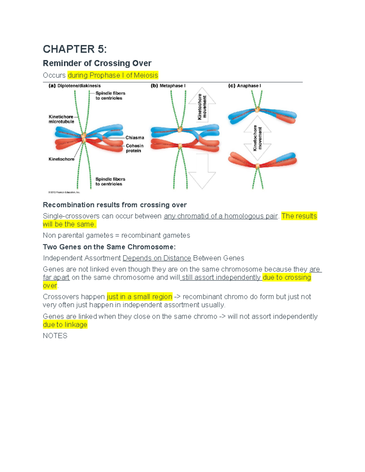 Exam 2 genetics - CHAPTER 5: Reminder of Crossing Over Occurs during Prophase I of Meiosis - Studocu
