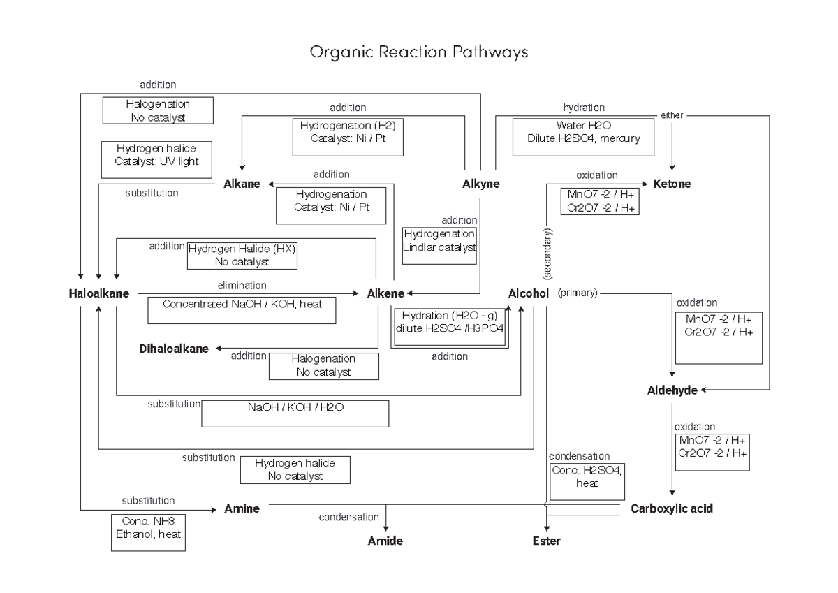 Reaction Pathways Worksheet (HSC) - Organic Reaction Pathways either addition addition ...