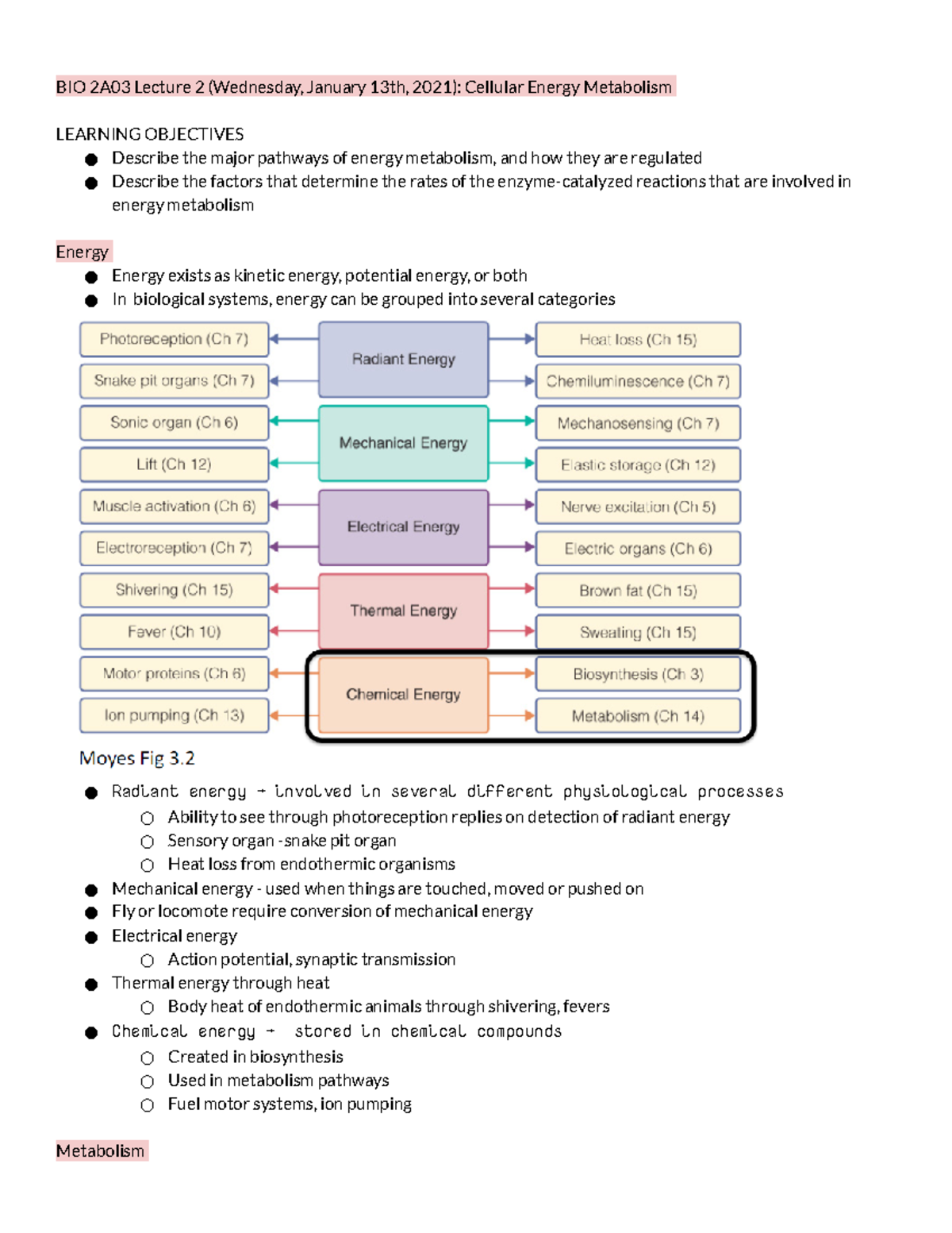 Cellular Energy Metabolism - BIO 2A03 Lecture 2 (Wednesday, January ...