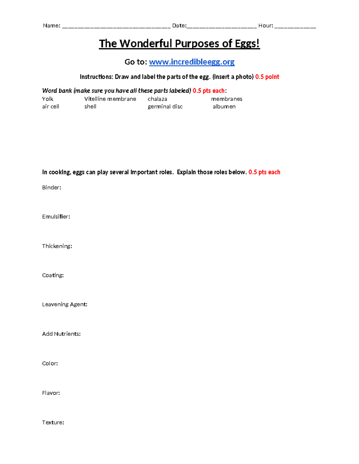 Conner Randall - Egg Webquest - Name ...