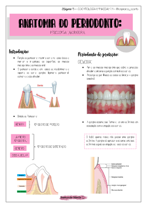 5- Determinação DO Limite Apical DO Preparo Endodôntico - DETERMINAÇÃO ...