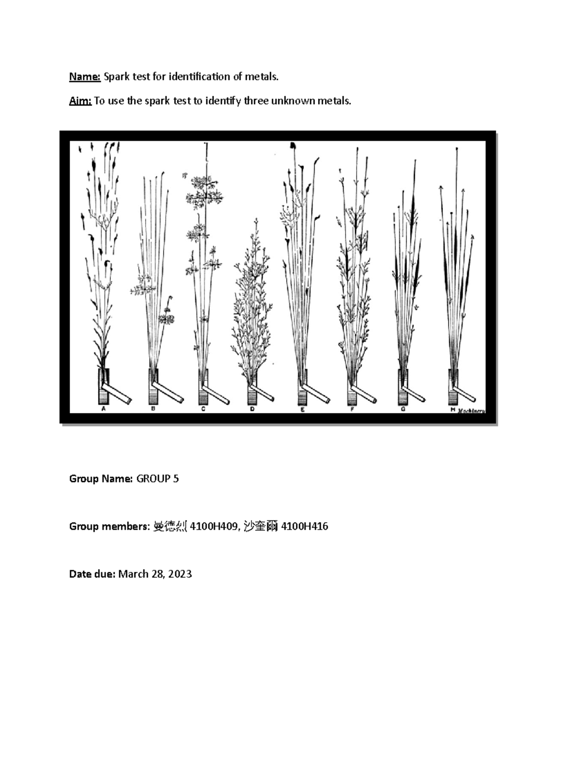 Spark Test - Kun Shan University - Name: Spark test for identification ...