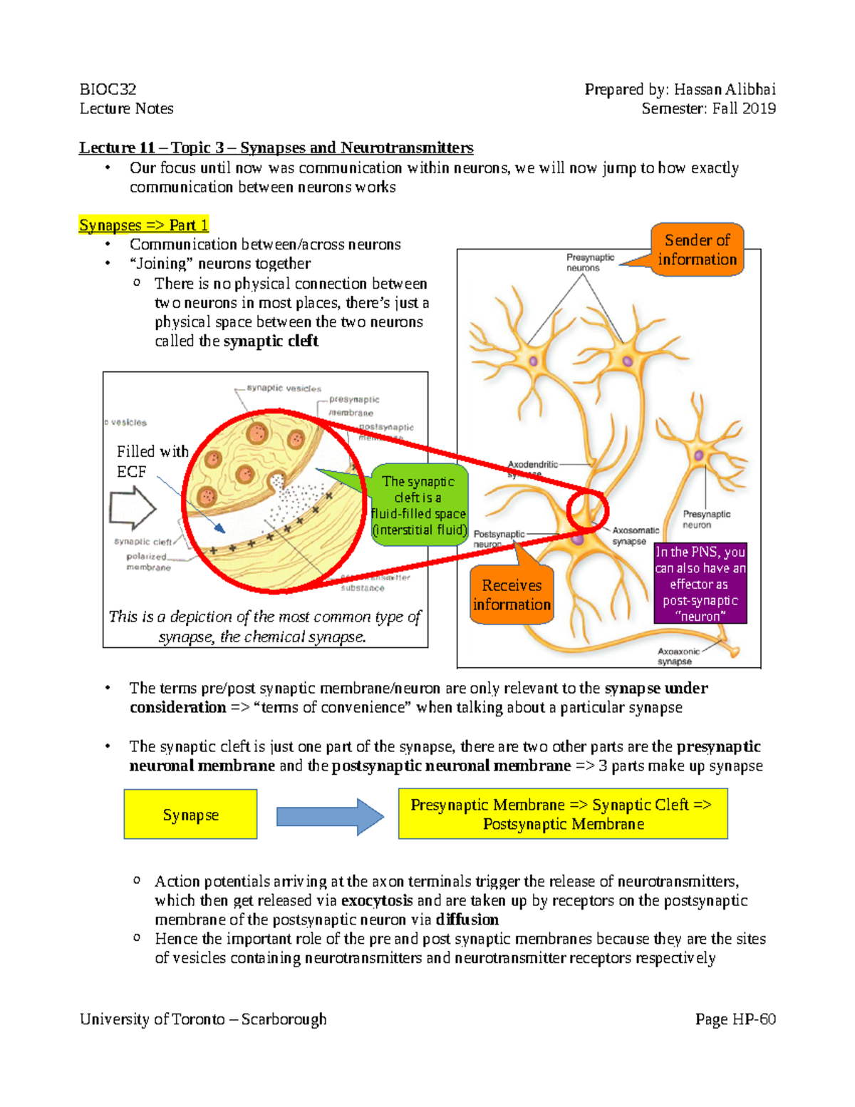 BIOC32 Lecture 11 - Lecture Notes Semester: Fall 2019 Lecture 11 ...