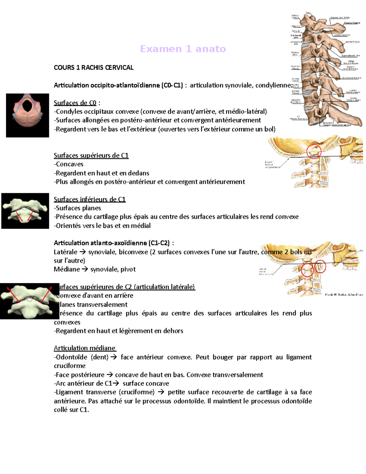 Examen 1 anato - Examen 1 anato COURS 1 RACHIS CERVICAL Articulation ...