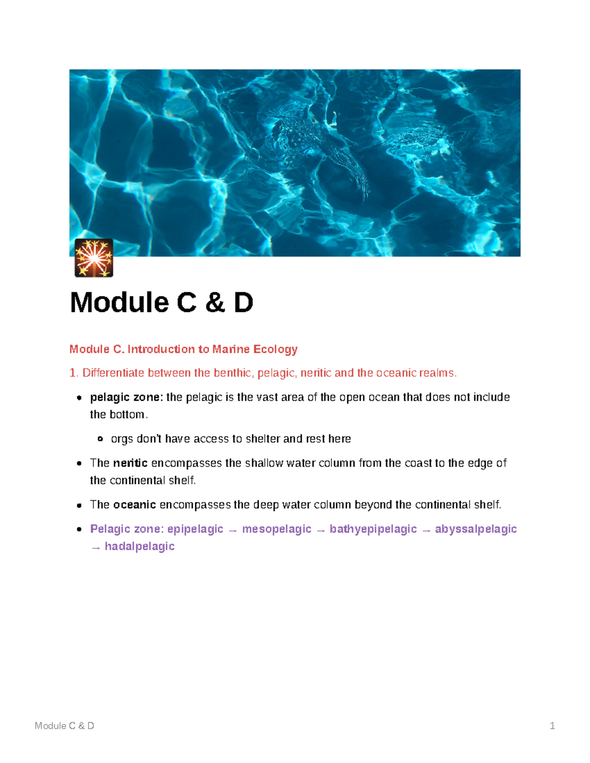 Module C D, Final study Set - 🎇 Module C & D Module C. Introduction to ...