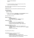 OMT3000 - PCOM - Osteopathic Manipulative Techniques - Studocu