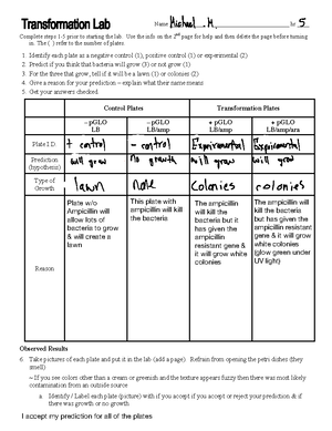 Virus and Operon Worksheet - Virus and lac Operon Worksheet Use ‘Notes ...
