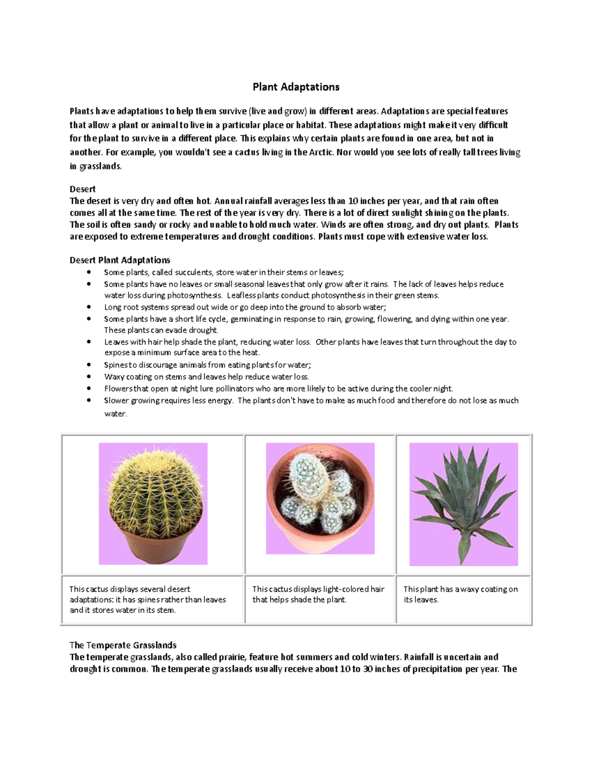 Plant-Adaptations - plants adaptation - Plant Adaptations Plants have ...