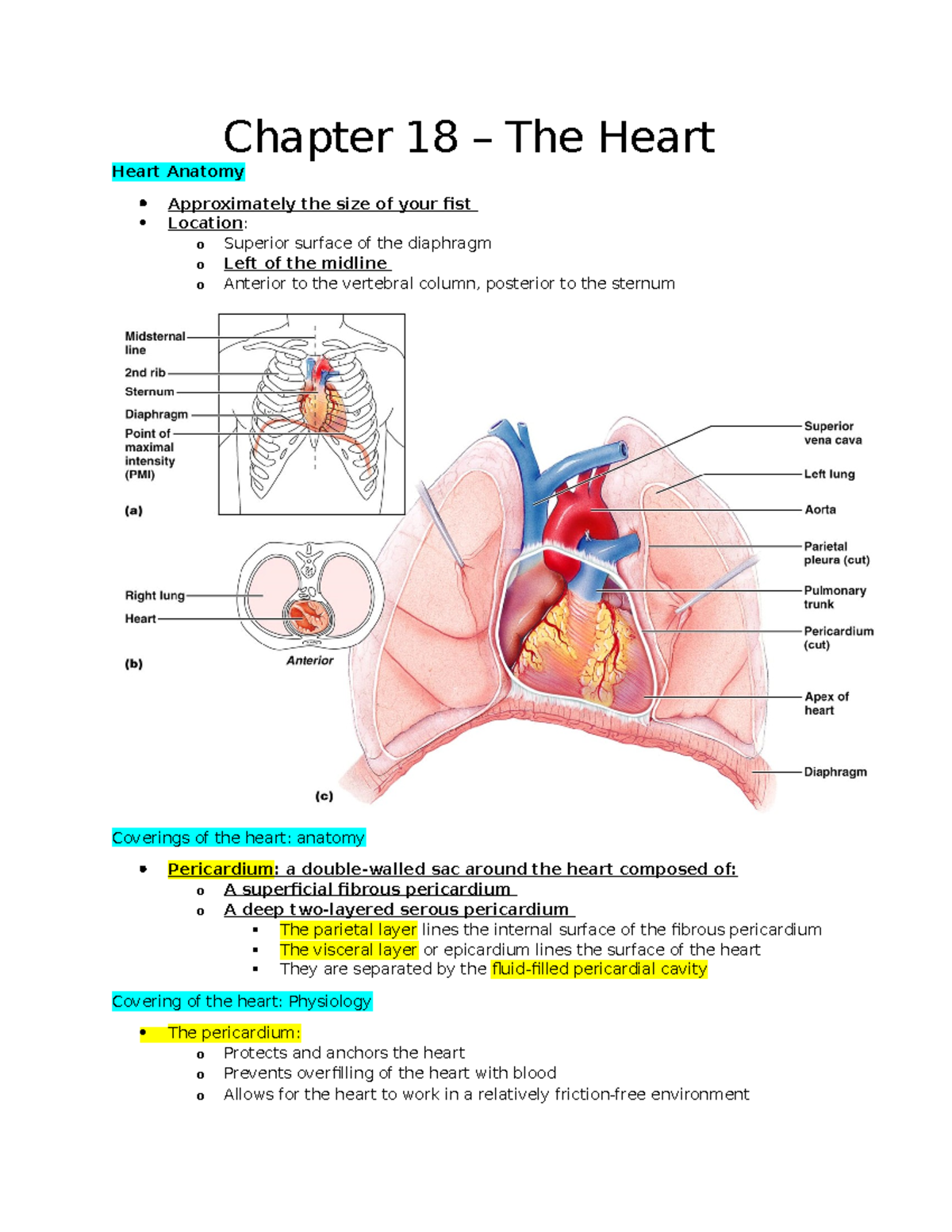 Chapter 18 - Shawn Iverson - Teacher - Chapter 18 – The Heart Heart ...